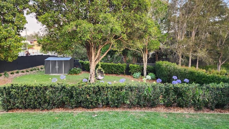 Brisbane Landscapers | Green Bear Landscaping